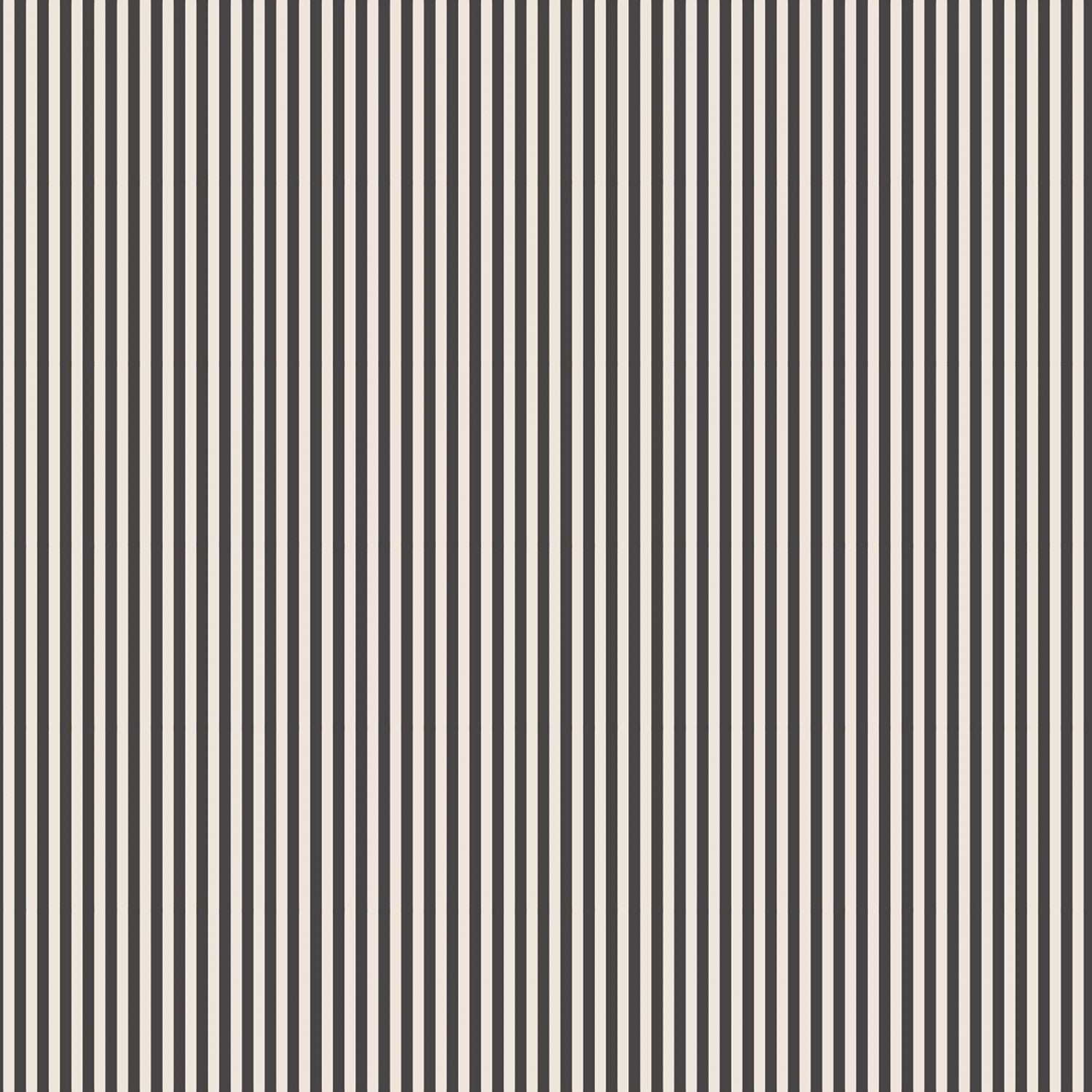 Charcoal Ivory stripe 1/8inch - 50 cm – lapp-elisa.com