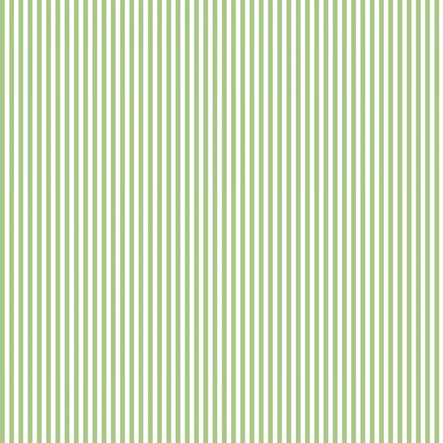 Green and White stripe 1/8inch - 50 cm – lapp-elisa.com