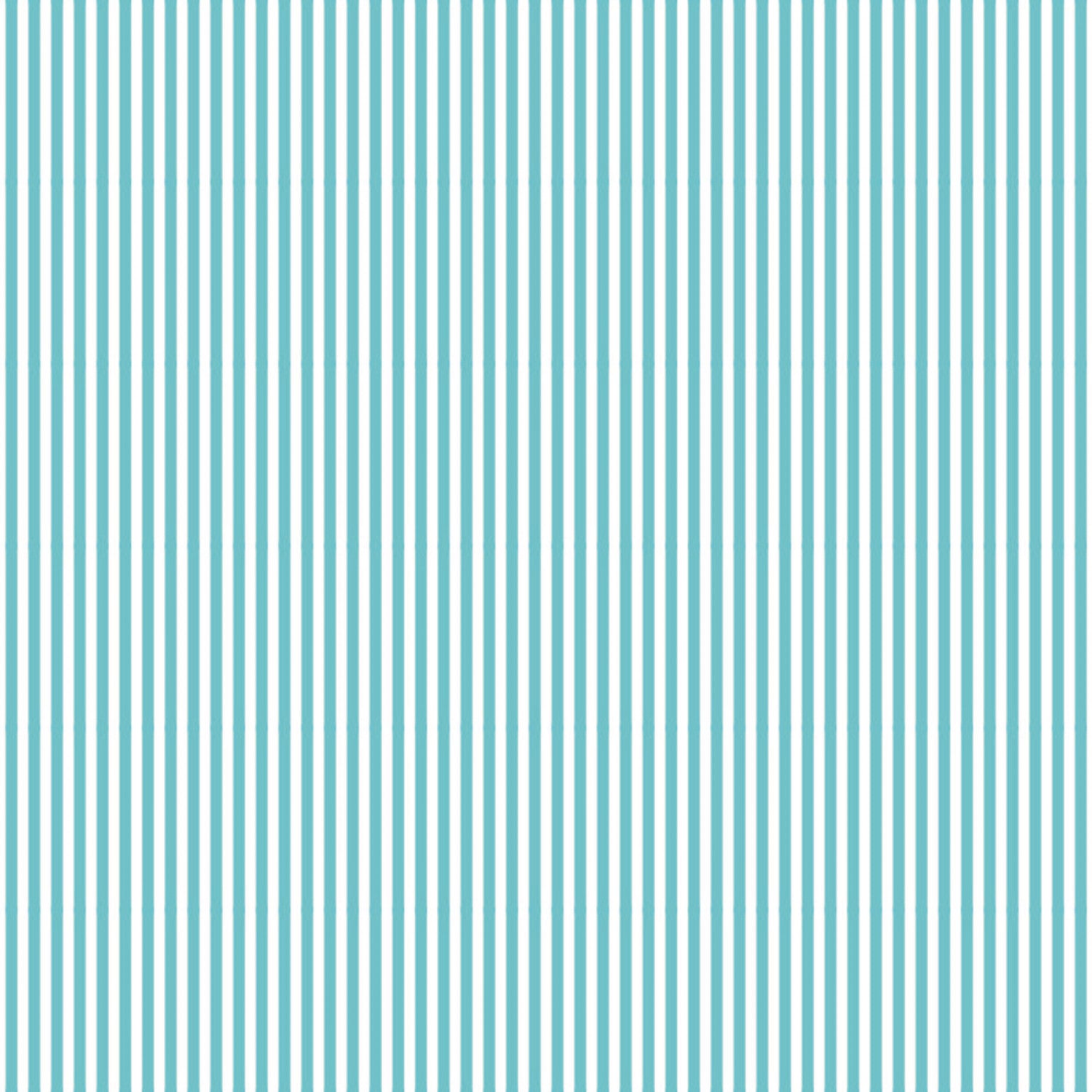 Peacock and White stripe 1/8inch - 50 cm – lapp-elisa.com